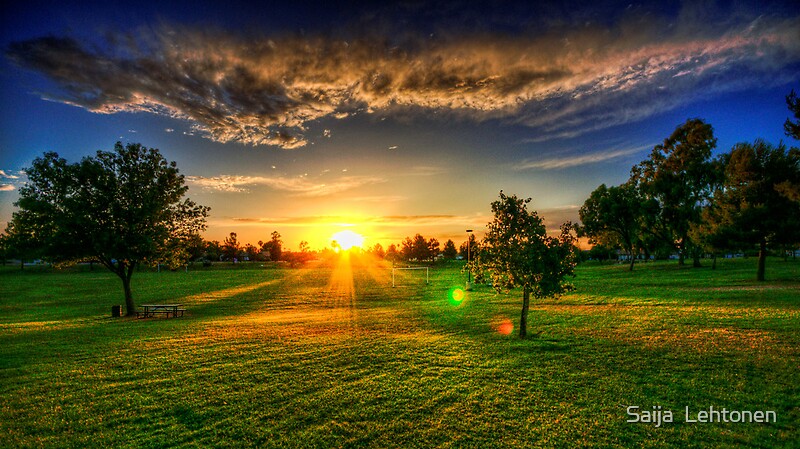 "Sunset At The Park II" by Saija Lehtonen | Redbubble