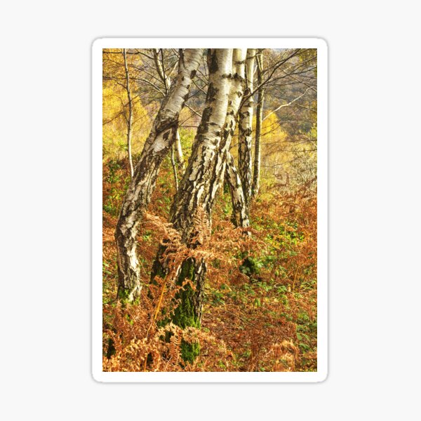 "Huddle" Sticker for Sale by morpheus71 | Redbubble