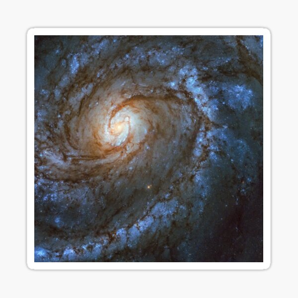 M100 Gifts & Merchandise for Sale | Redbubble