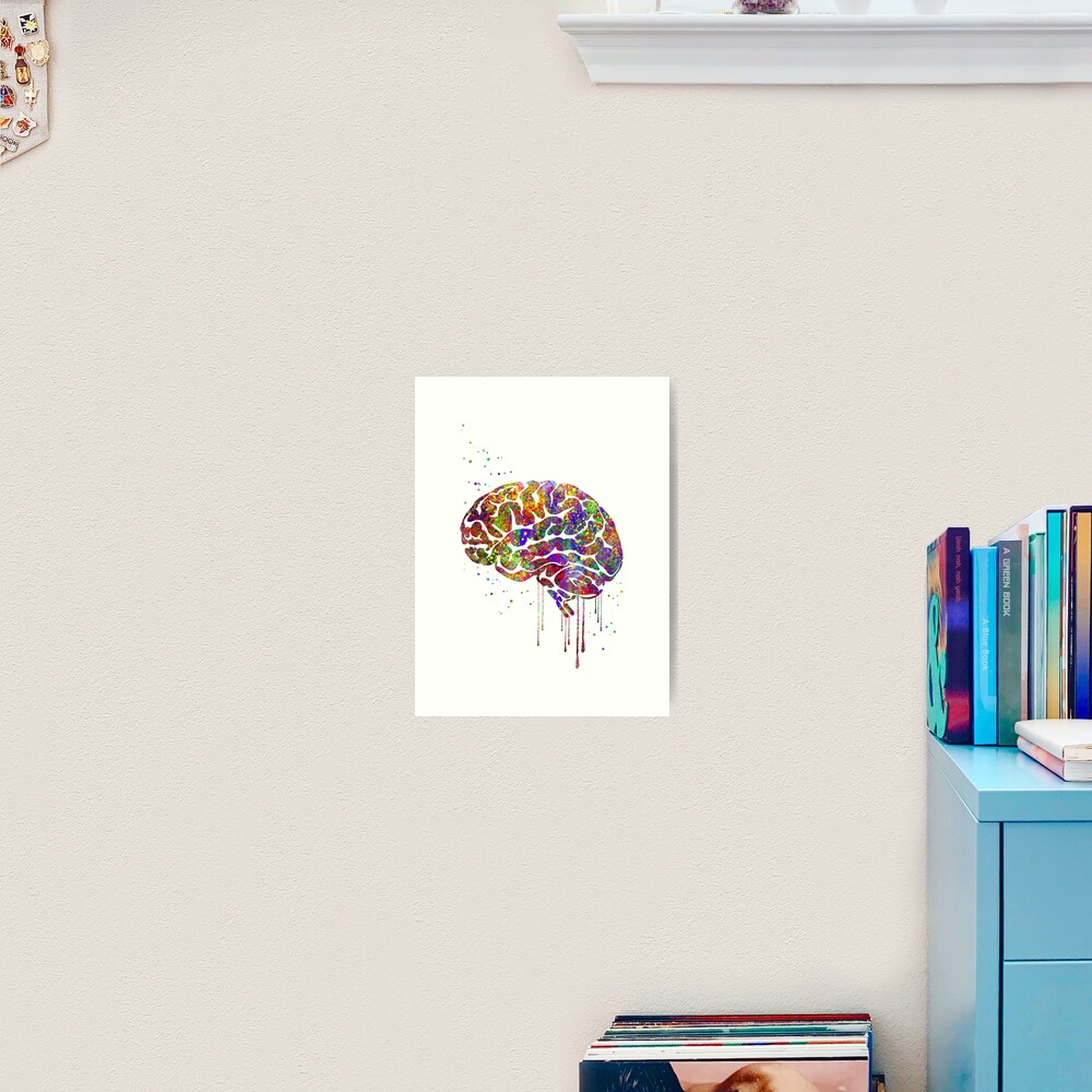 "Brain anatomy, medical art, watercolor Brain" Art Print for Sale by ...