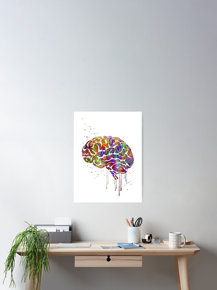 "Brain anatomy, medical art, watercolor Brain" Poster for Sale by ...