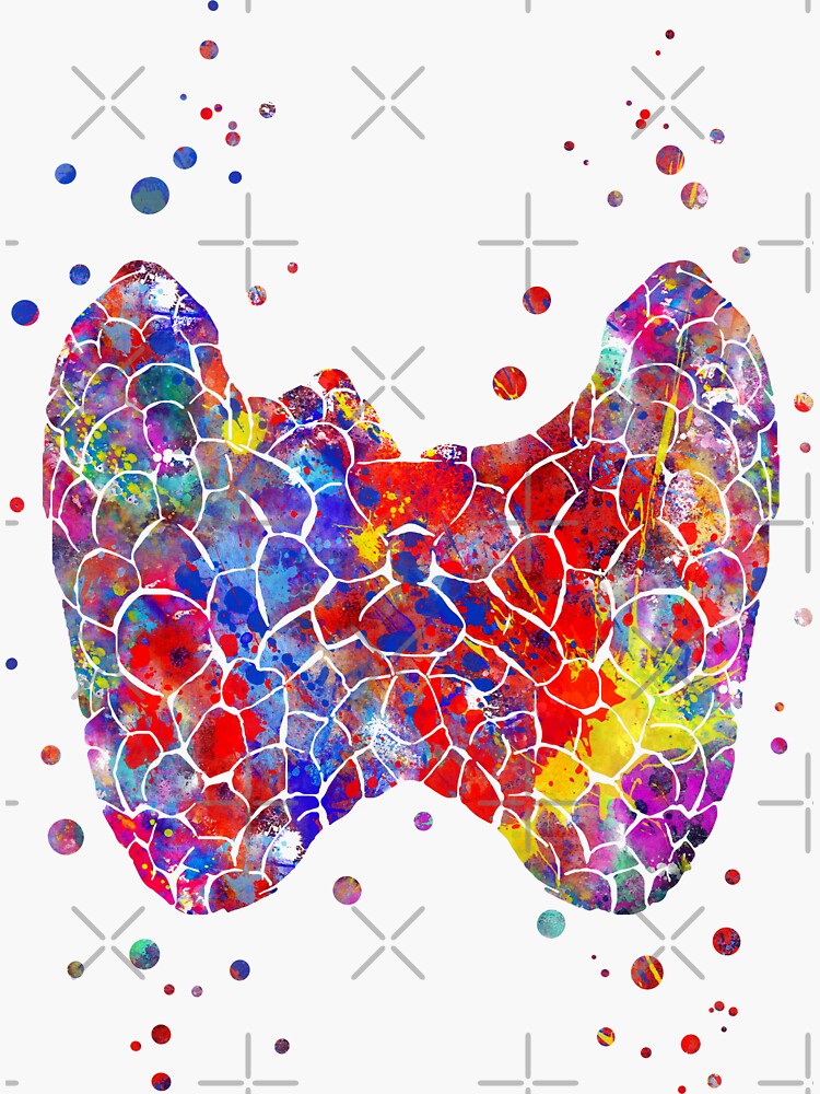 "Thyroid gland, endocrine system" Sticker for Sale by Rosaliartbook ...