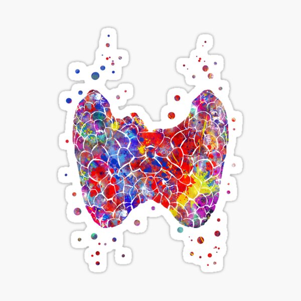 "Thyroid gland, endocrine system" Sticker for Sale by Rosaliartbook ...
