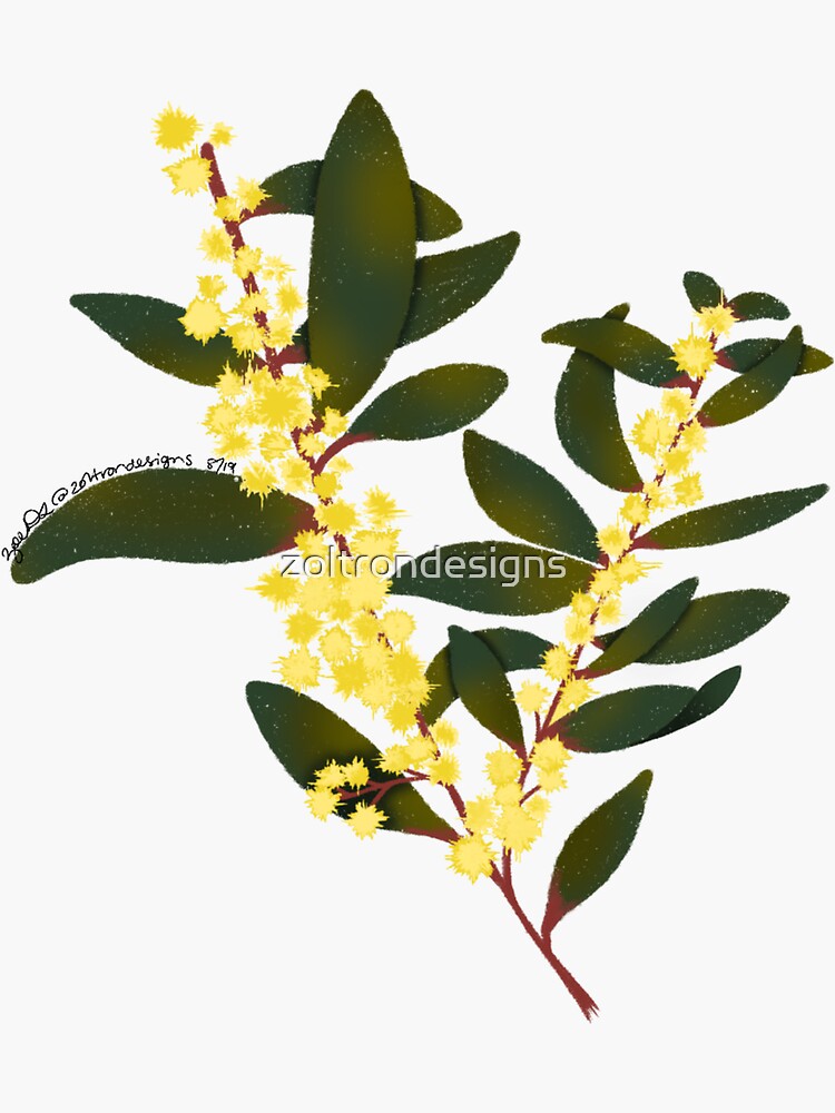 "Australian Native Flora, Wattle" Sticker for Sale by zoltrondesigns ...