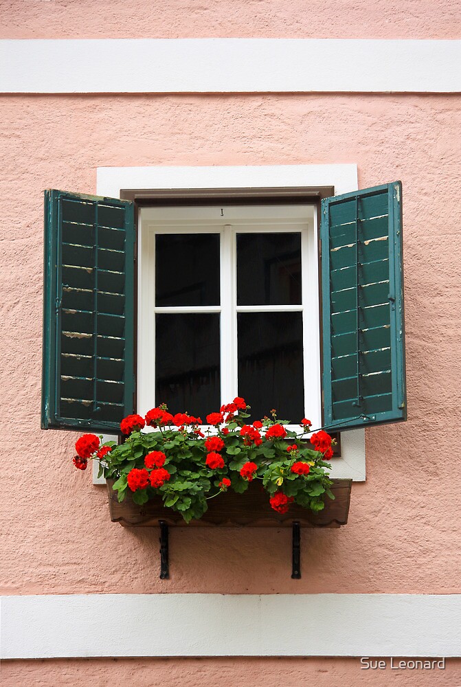 "Beautiful window with flower box and shutters" by Sue Leonard | Redbubble