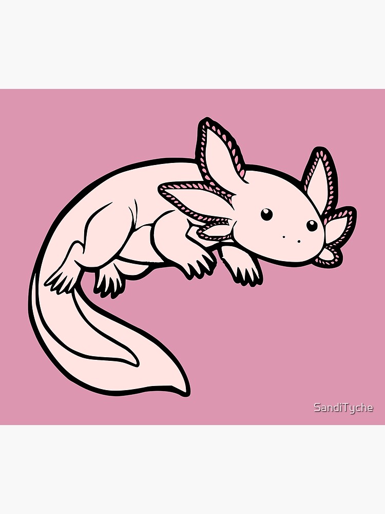 "Pink Axolotl Salamander Newt" Photographic Print by SandiTyche | Redbubble