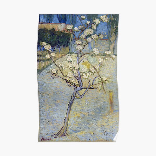 "Vincent Van Gogh - Small pear tree in blossom" Poster for Sale by ...
