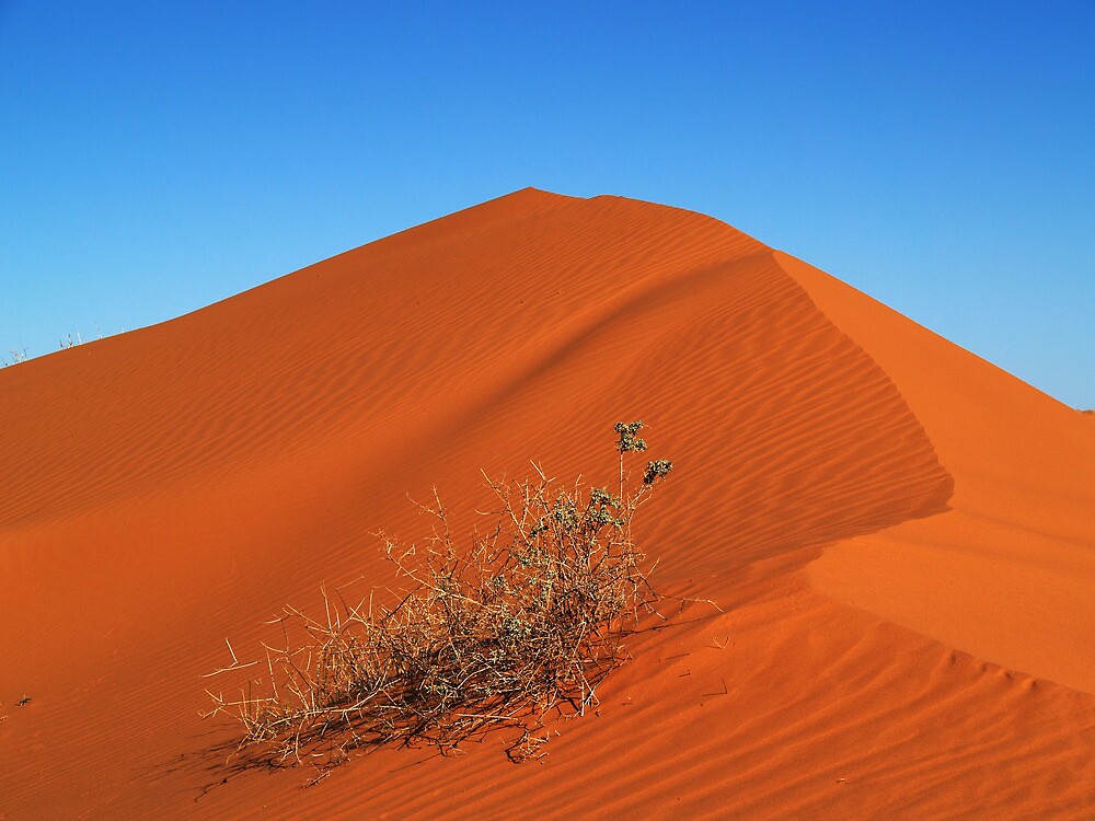 "Sand dune of Simpson desert" by Igor Makunin | Redbubble