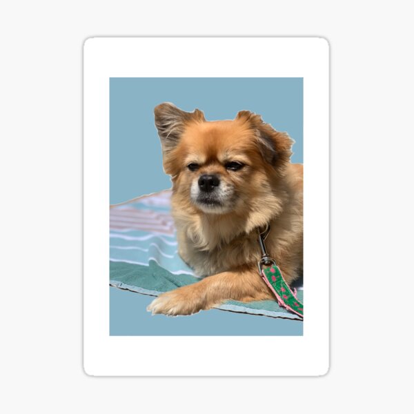 Terd Gifts & Merchandise for Sale | Redbubble