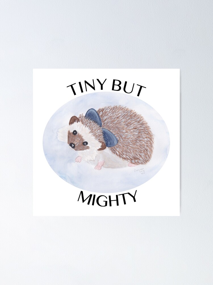 "Tiny But Mighty - Cute Little Hedgehog" Poster by A2Gretchen | Redbubble