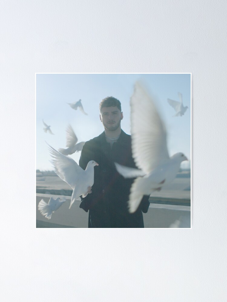 "Bazzi Soul Searching" Poster for Sale by aestheticqueen | Redbubble