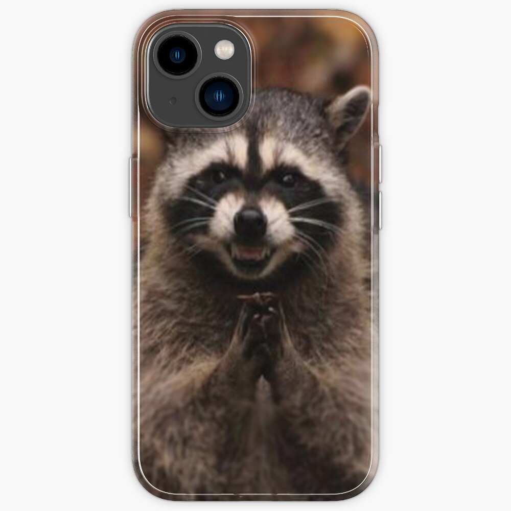"Scheming Racoon" iPhone Case for Sale by jordan804 | Redbubble