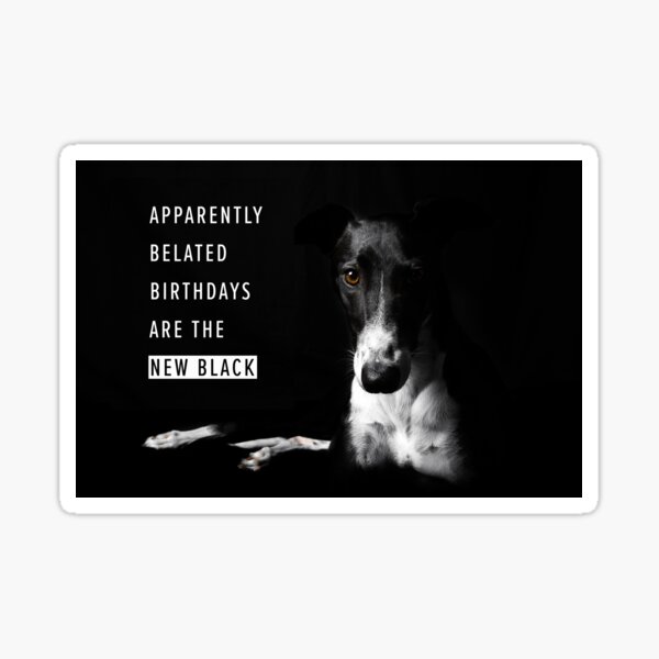 "Happy Belated Birthday" Sticker for Sale by houndpixnz | Redbubble