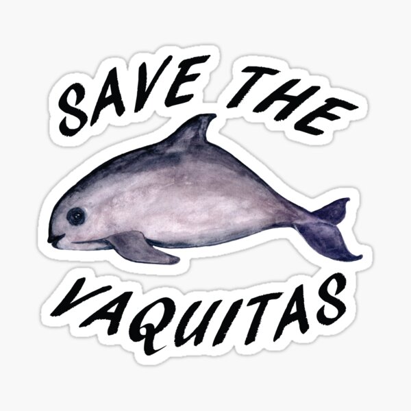 "Save The Vaquitas" Sticker for Sale by kalarcon | Redbubble