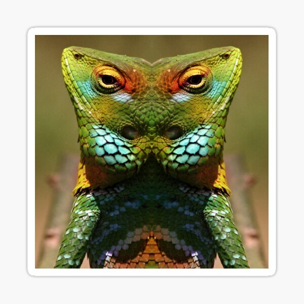 "Neville the Unimpressed" Sticker for Sale by Yampimon | Redbubble