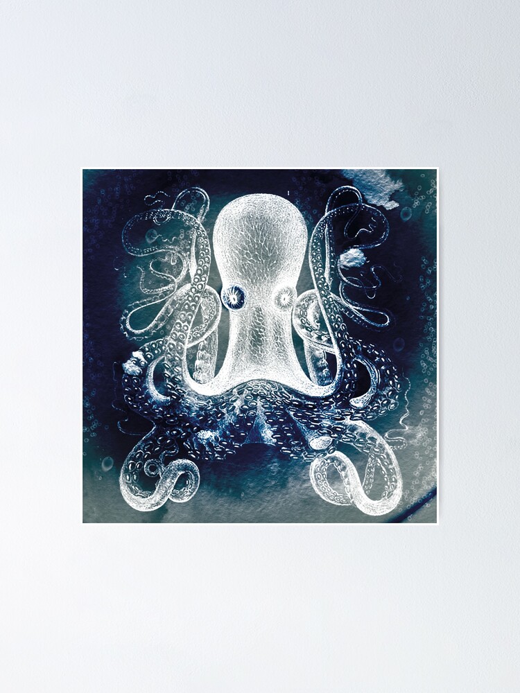 "octopus & shade" Poster by BarbaraB19 | Redbubble