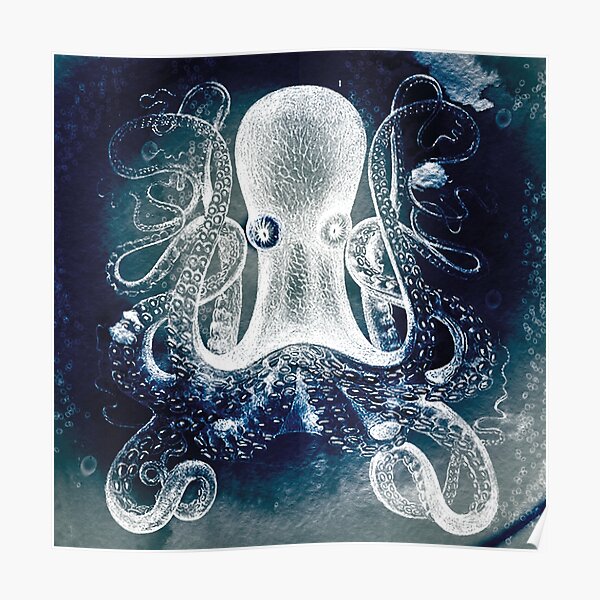 "octopus & shade" Poster by BarbaraB19 | Redbubble