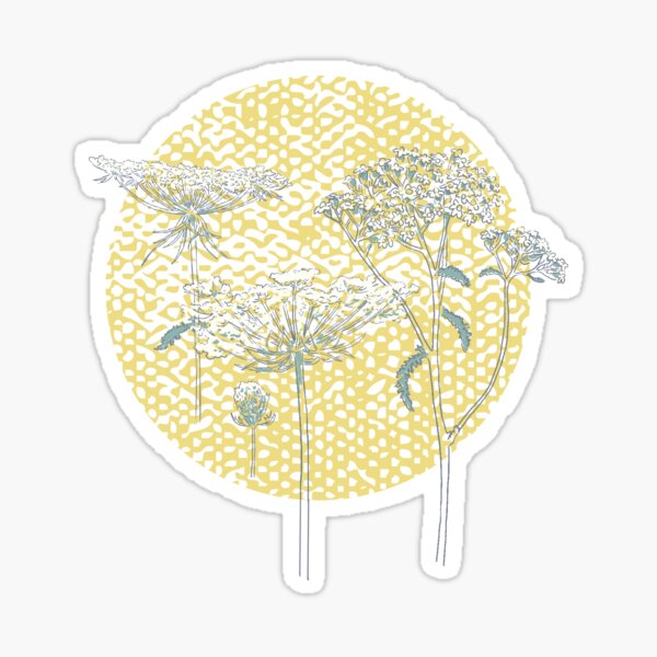 "Queen Anne's Lace Wildflowers in Dusky Blue and Flax" Sticker for Sale ...