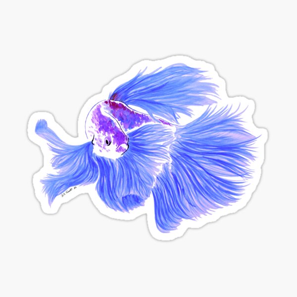"Betta Fish: Purple and Indigo" Sticker for Sale by Acipenserarts ...