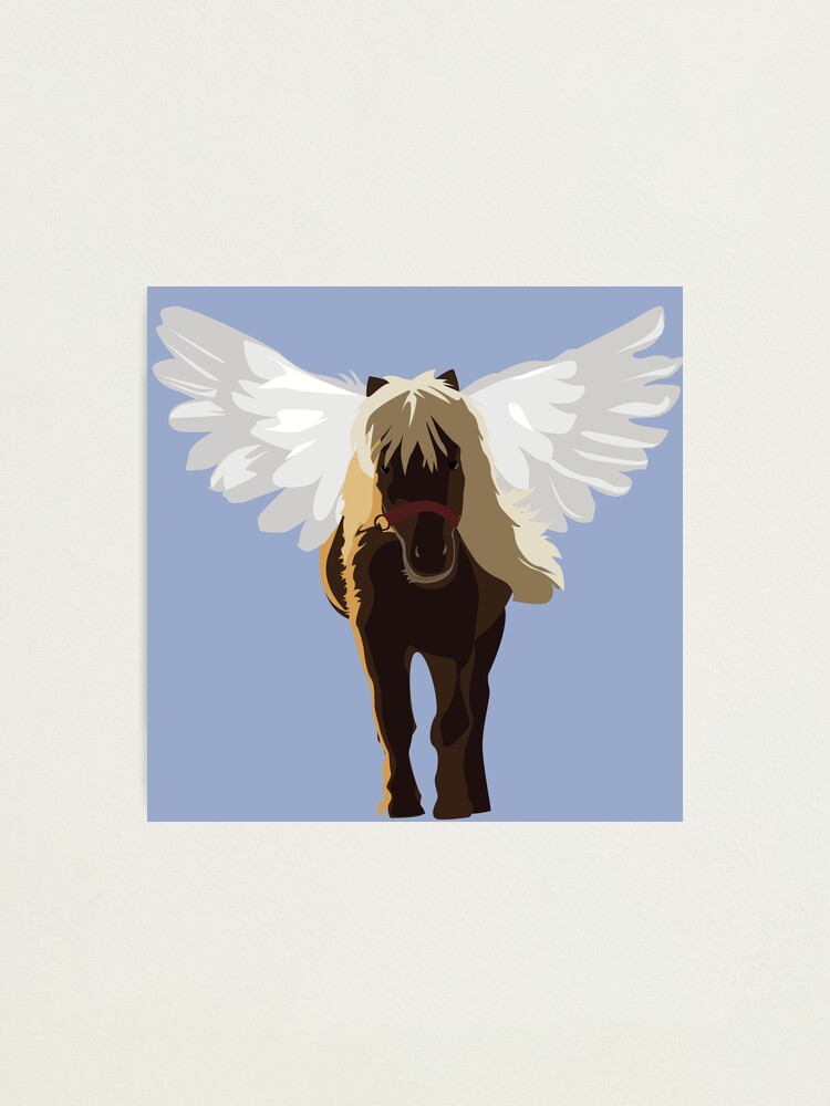 "Fly High Li'l Sebastian " Photographic Print by RebekahLynne | Redbubble