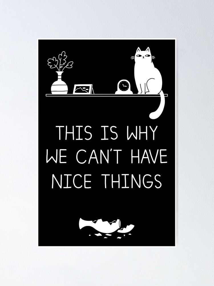 "This is Why We Can't Have Nice Things" Poster for Sale by obinsun ...