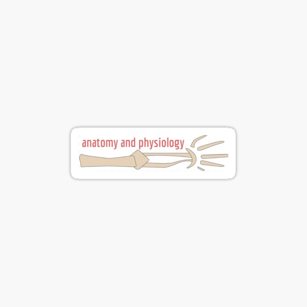 Anatomy Physiology Stickers | Redbubble