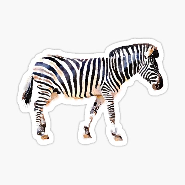 "Zebra" Sticker for Sale by CuteyWutey | Redbubble