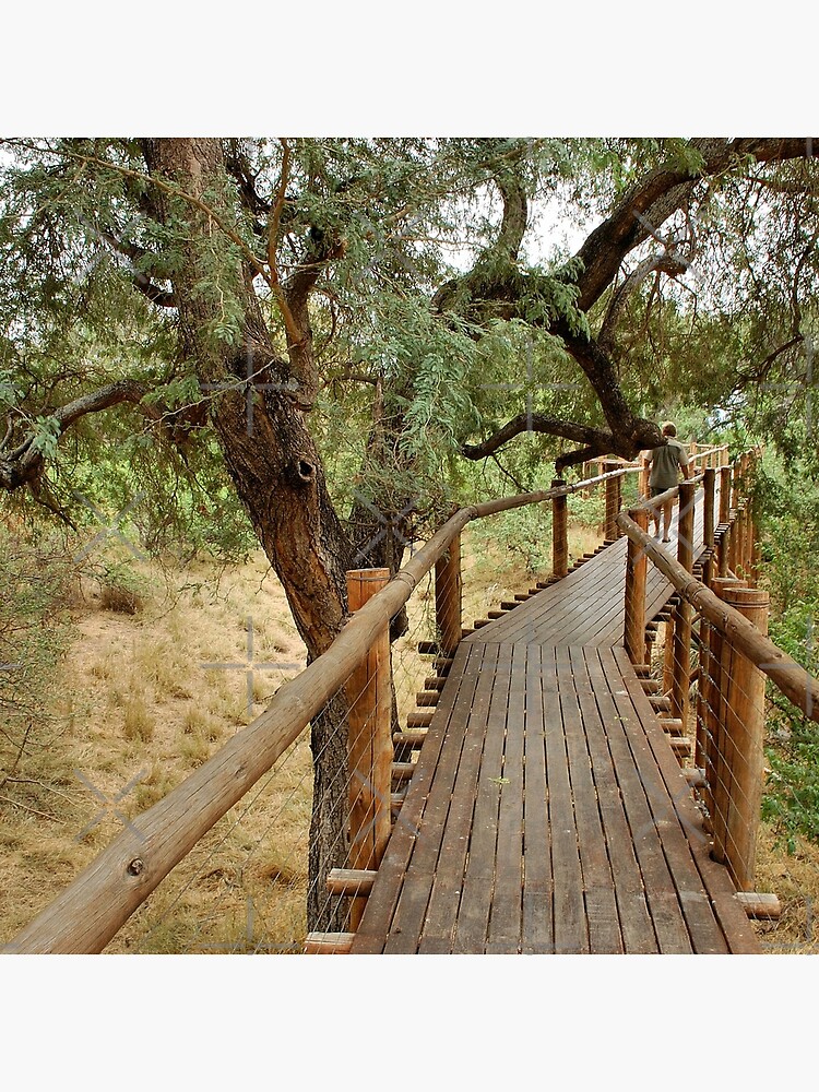 "SanParks - MAPUNGUBWE NATIONAL PARKS TREE TOP WALK" Coasters (Set of 4 ...