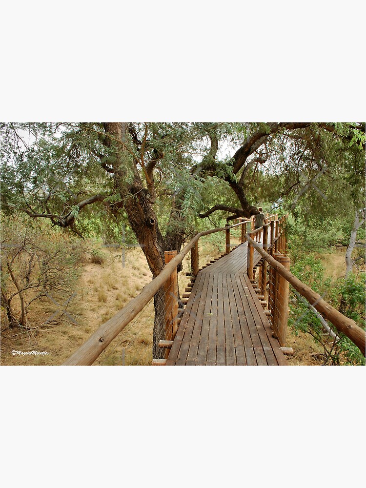 Sanparks Merch & Gifts for Sale | Redbubble