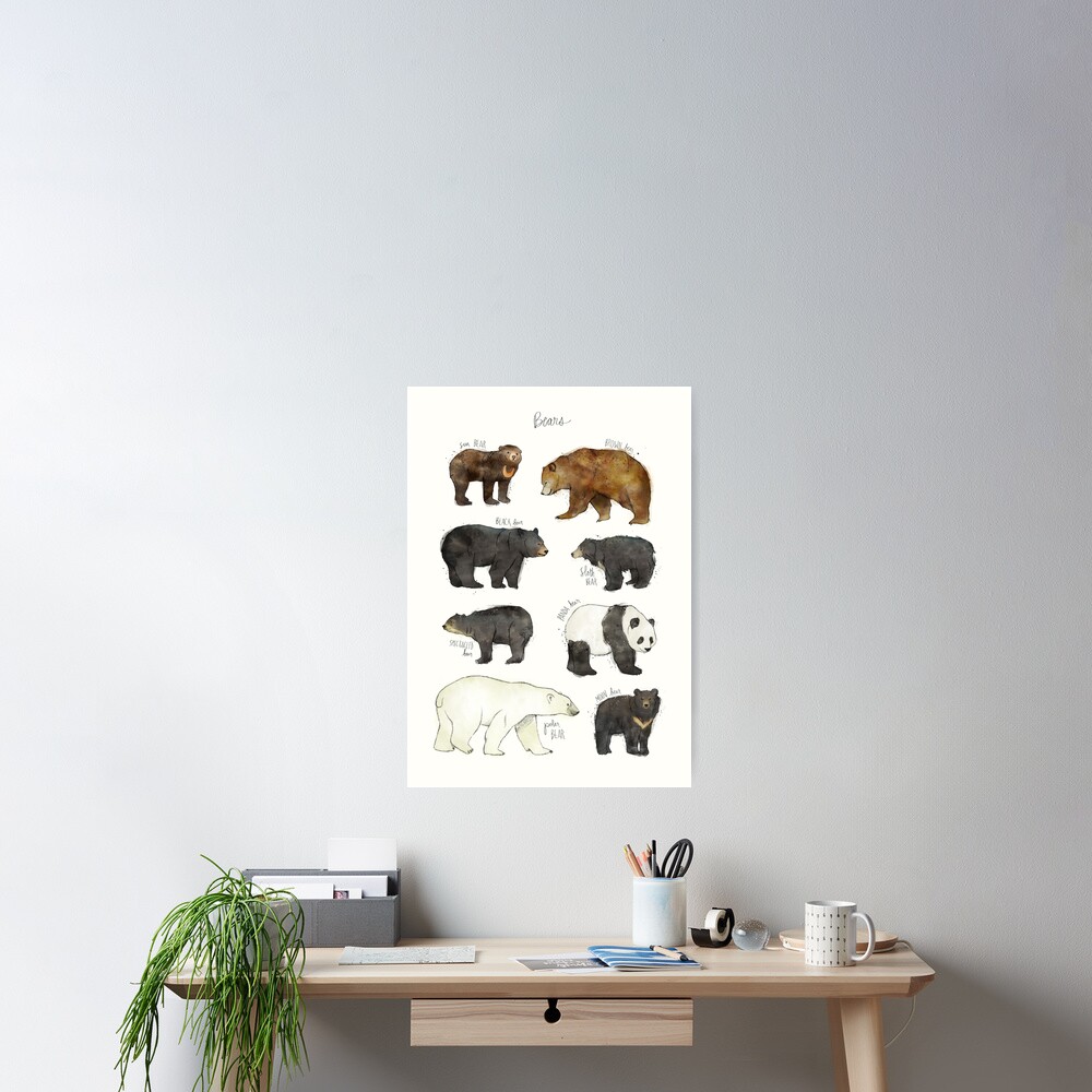 "Bears" Poster for Sale by AmyHamilton | Redbubble