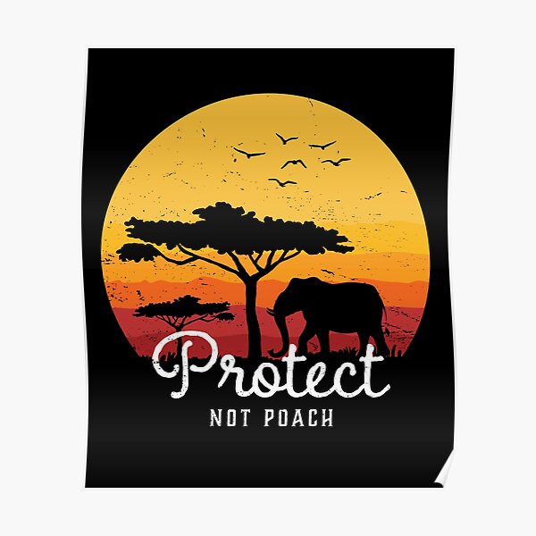 Stop Hunting Posters | Redbubble