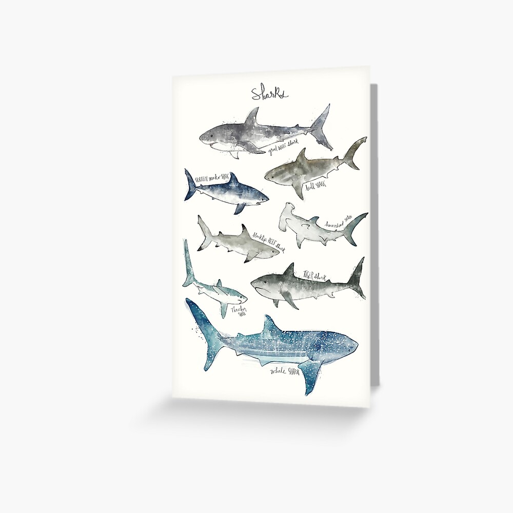 "Sharks" Greeting Card for Sale by AmyHamilton | Redbubble