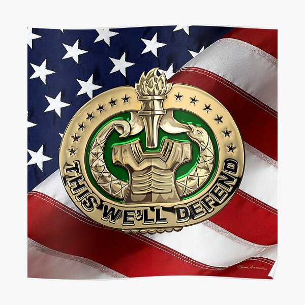 "U.S. Army Drill Sergeant Identification Badge over American Flag ...