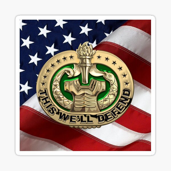 "U.S. Army Drill Sergeant Identification Badge over American Flag ...