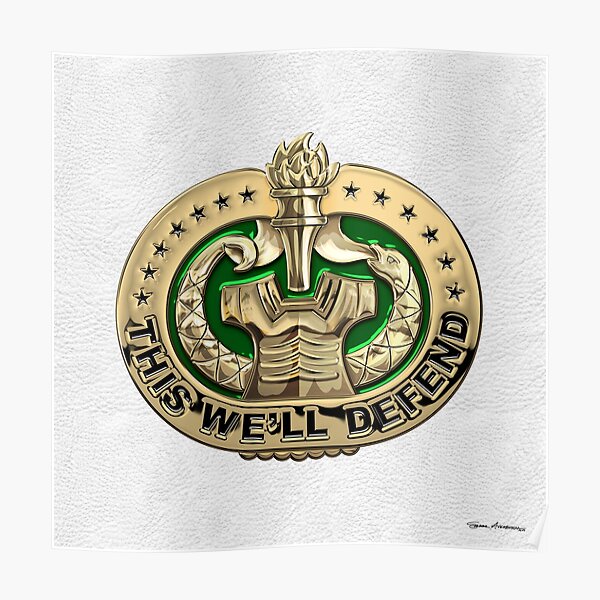 "U.S. Army Drill Sergeant Identification Badge over White Leather ...