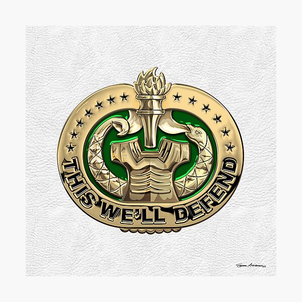 "U.S. Army Drill Sergeant Identification Badge over White Leather ...