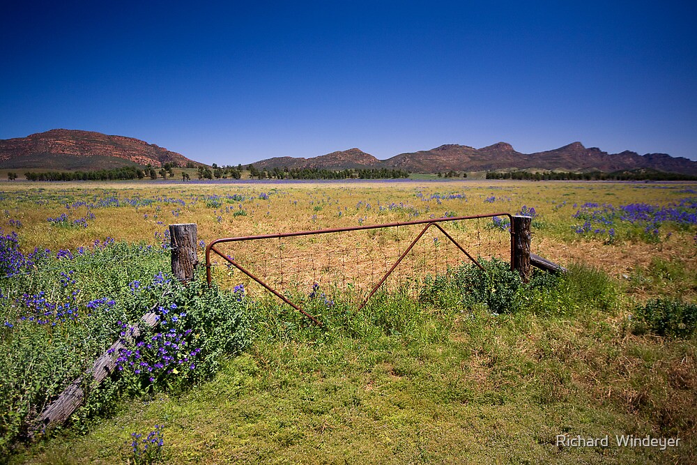 "Paddock gate in the Flinders Ranges, SA" by Richard Windeyer | Redbubble