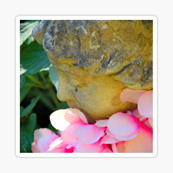 "Angel Face" Sticker for Sale by shelleyloewnau | Redbubble