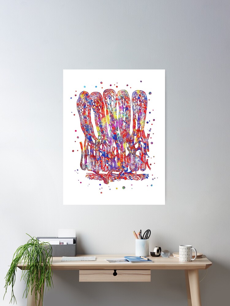 Intestine Abstract Anatomy Print Intestinal Villi Poster, 40% OFF