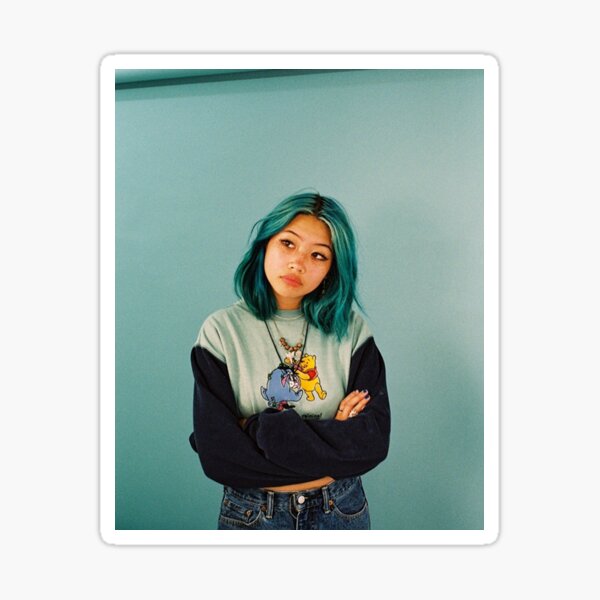 Beabadoobee Stickers | Redbubble