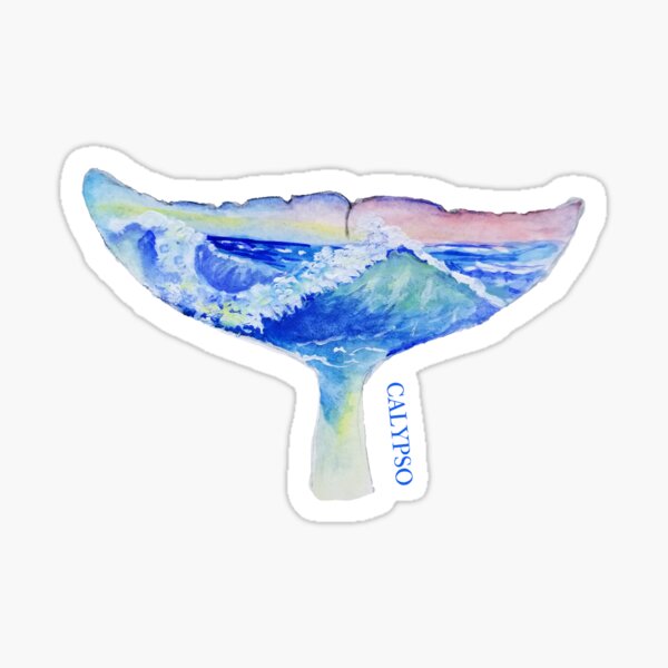 "Calypso Painted Flukes" Sticker for Sale by melissasnapp | Redbubble