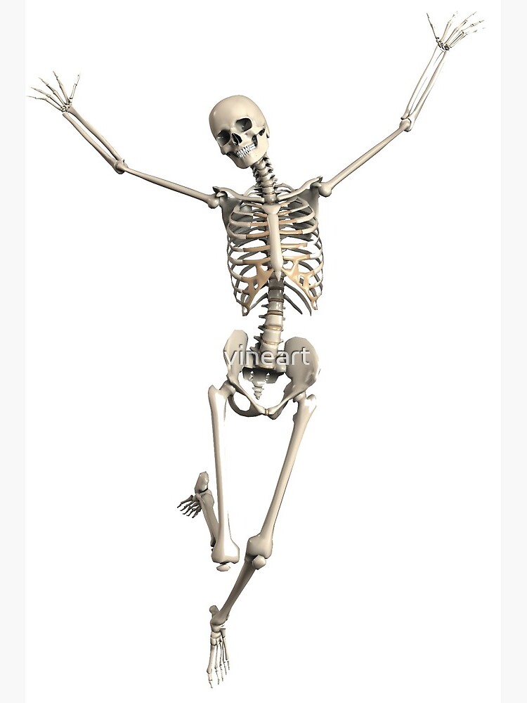 Paper & Party Supplies Excited Skeleton 4x6 Postcard Stationery ...