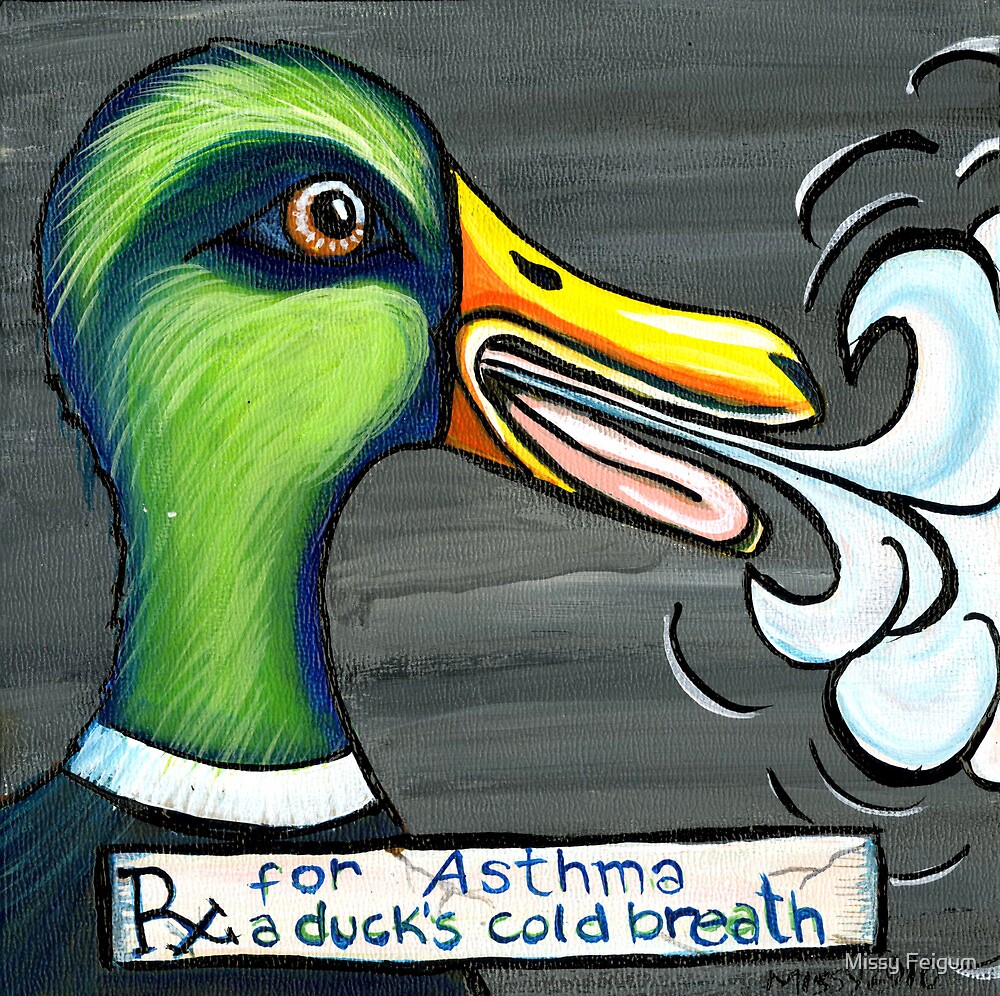 "A Duck's Cold Breath" by Missy Feigum | Redbubble