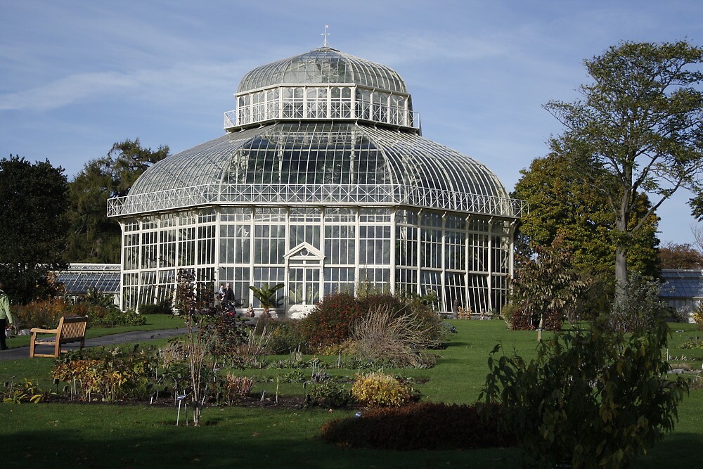 "Victorian Greenhouse Botanic Gardens Dublin" by Rakk80 | Redbubble