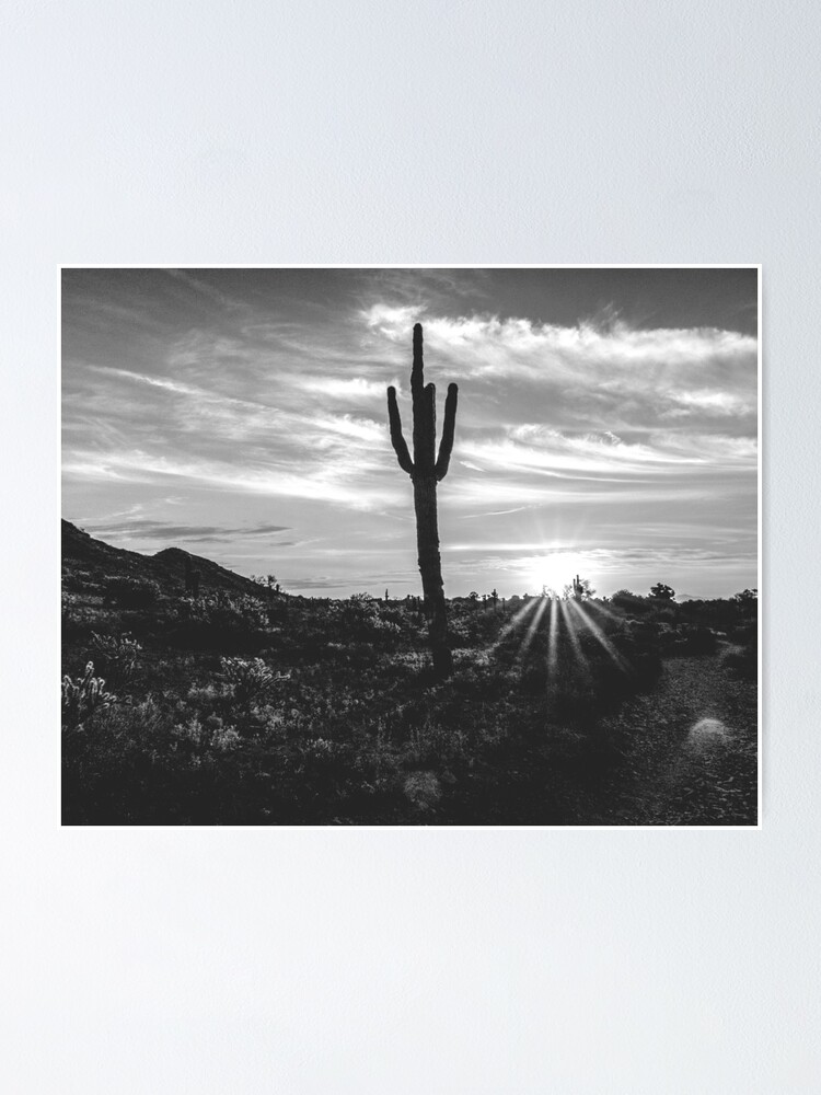 "Saguaro Sunrise // Picture of a Cactus and the Desert Landscape in the ...