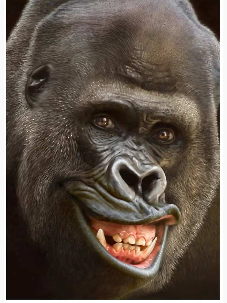 Gorilla Smiling Teeth