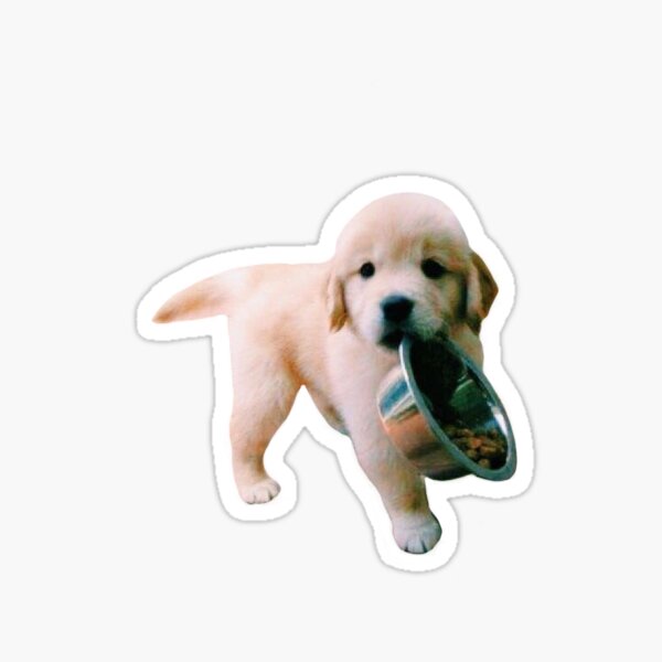 "puppy cute adorable love dog aesthetic vsco" Sticker for Sale by ...