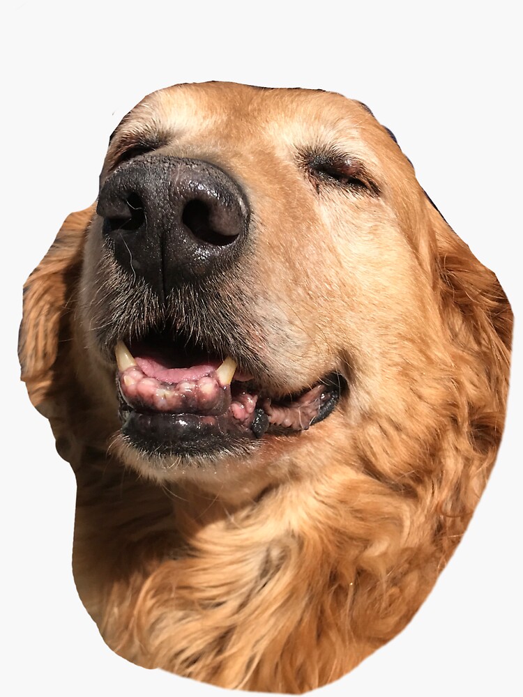 "Shadow the dog" Sticker for Sale by deodorent | Redbubble