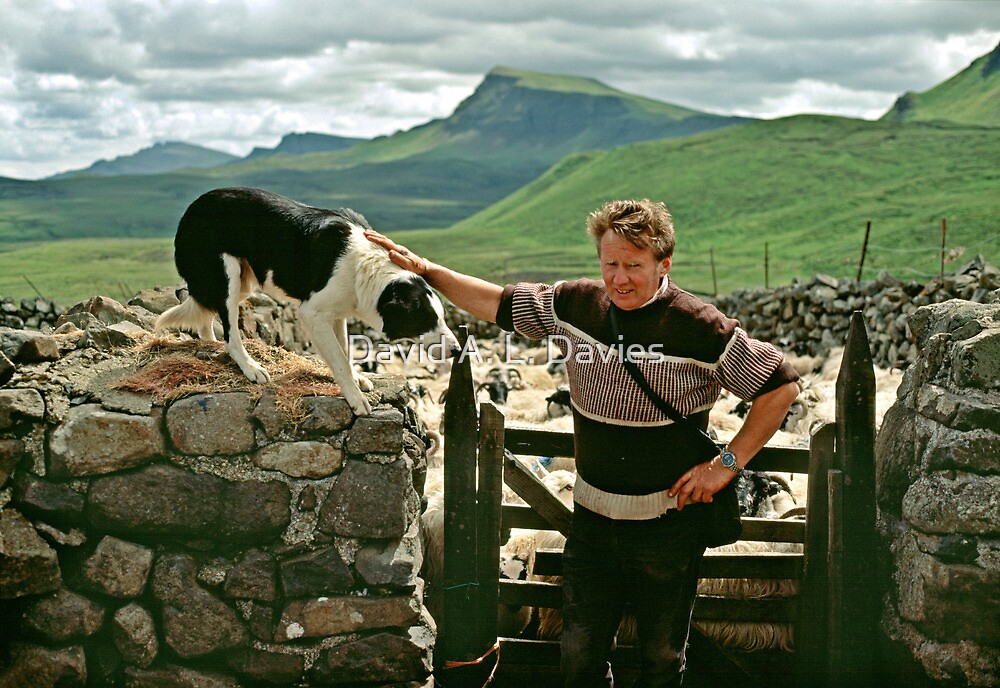 "Scottish shepherd with dog, Isle of Skye, Scotland, UK, 1990s" by ...