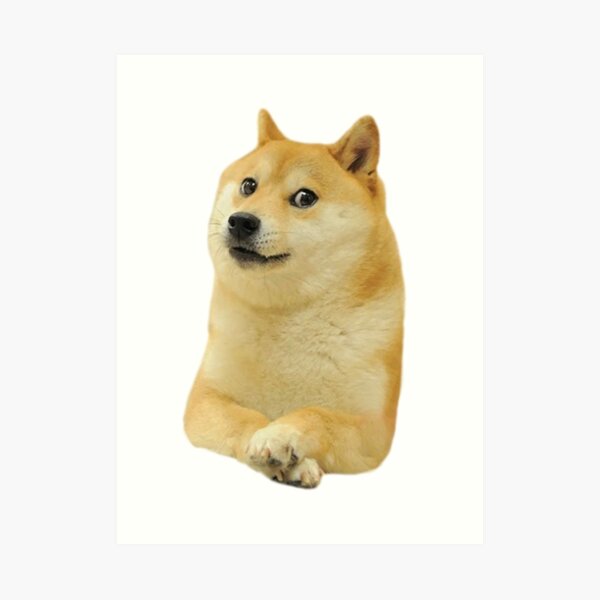Doge Meme Art Prints | Redbubble